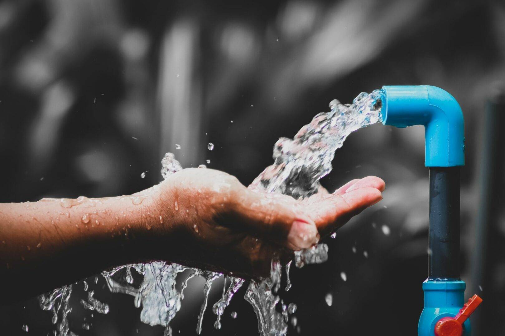 Cultivating Water Consciousness: A Path to Sustainable Living - City ...